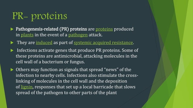 Use Of Pseudomonas Fluoroscens As Biocontrol Agent Pptx Gardening