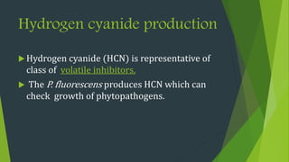 Use of Pseudomonas fluoroscens as biocontrol agent | PPTX