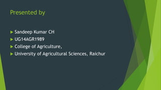 Use of Pseudomonas fluoroscens as biocontrol agent | PPTX