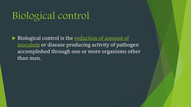 Use Of Pseudomonas Fluoroscens As Biocontrol Agent Pptx Gardening
