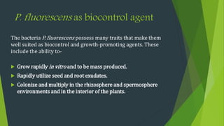 Use of Pseudomonas fluoroscens as biocontrol agent | PPTX