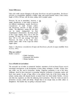 Use of rotifer in aquaculture of bangladesh | PDF