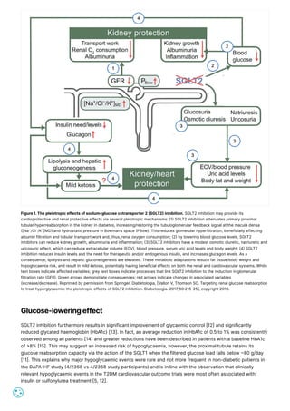 Use of SGLT2 inhibitors in cardiovascular diseases_ why, when and how ...