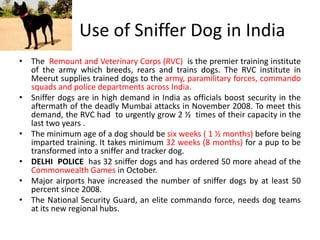 Explosive Detection by Sniffer Dog | PPTX