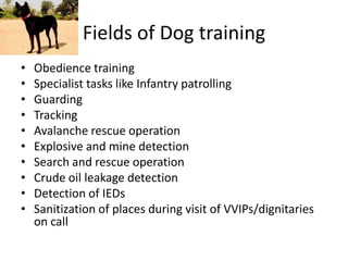Explosive Detection by Sniffer Dog | PPTX