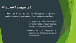 Use of transgenics in crop production | PPTX