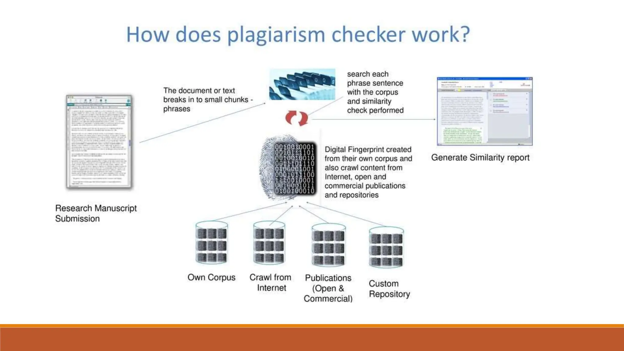Use Plagiarism Software.pptx