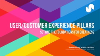User/Customer Experience Pillars | PPT