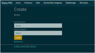 DVD Rental Business Slides | PPTX