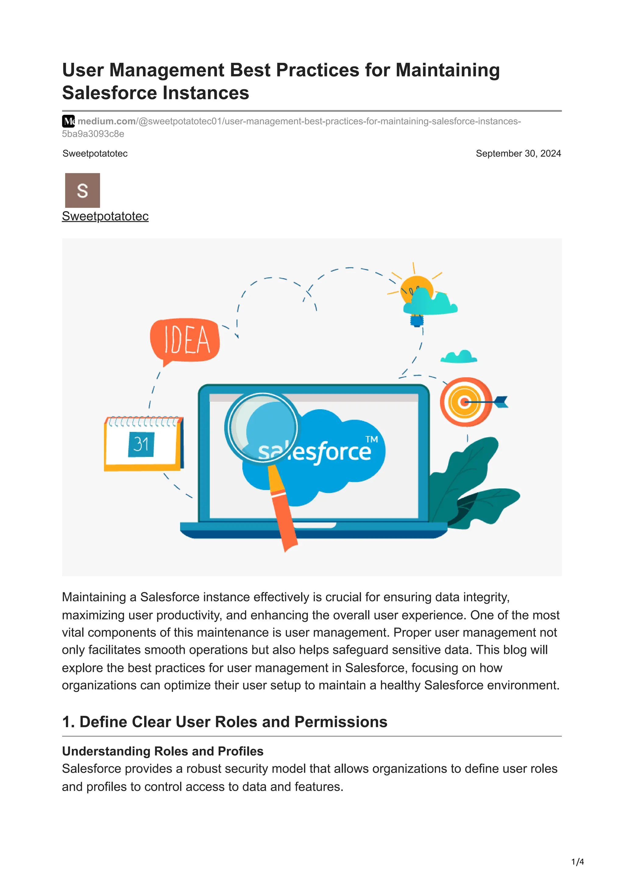 User Management Best Practices For Maintaining Salesforce Instances Pdf