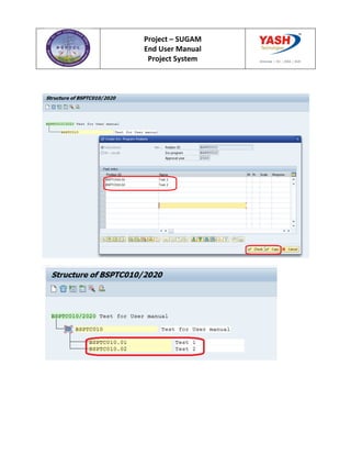 SAP PROJECT SYSTEM COMPLETE User_Manual.pdf