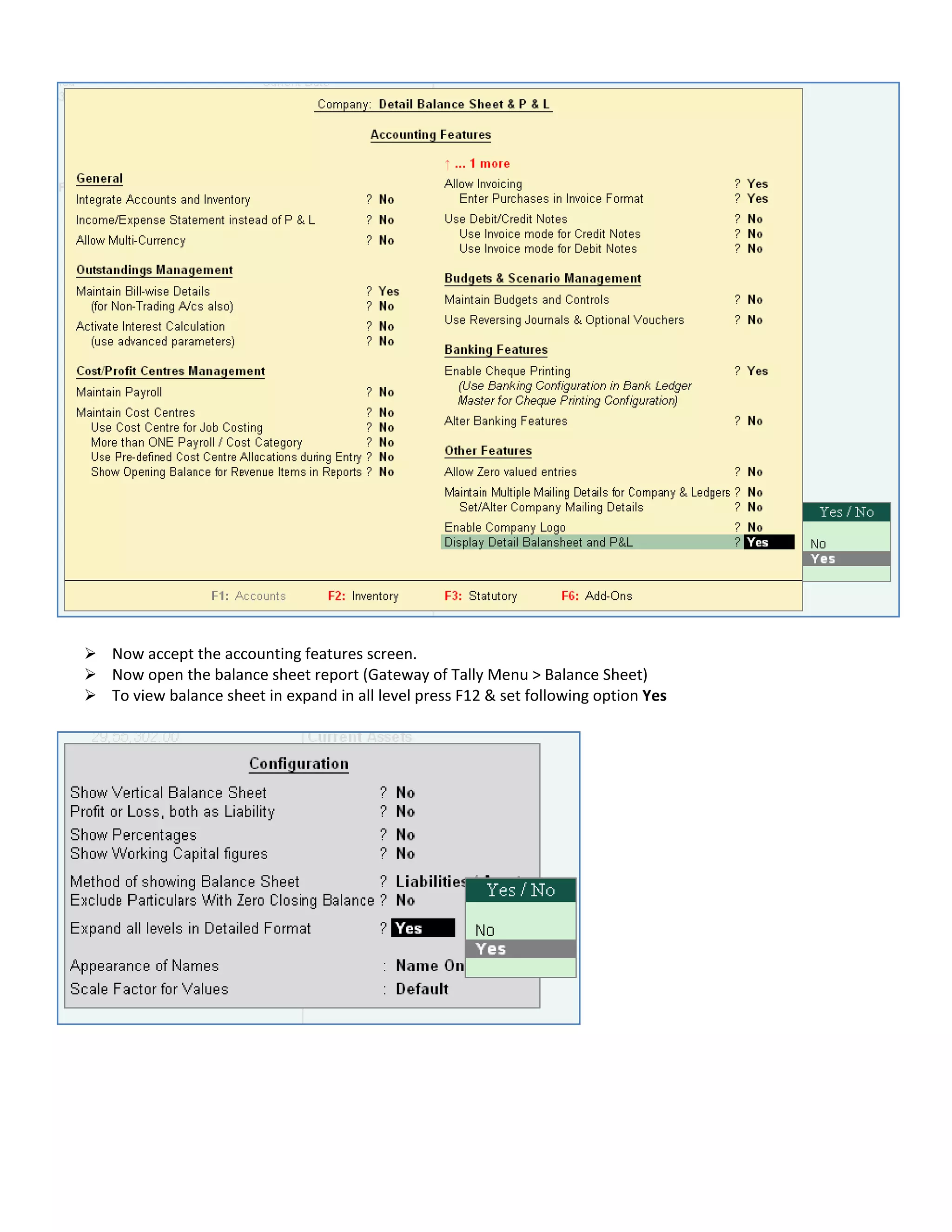 Expand all level in Balance Sheet & Profit & Loss Report (English) | PDF