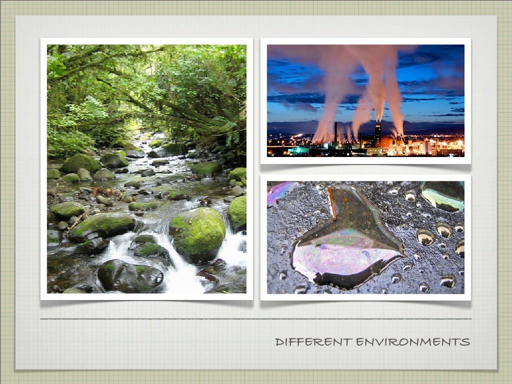 DIFFERENT ENVIRONMENTS DIFFERENT ENVIRONMENTS
