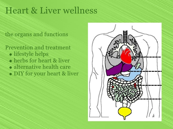 Heart Liver wellness