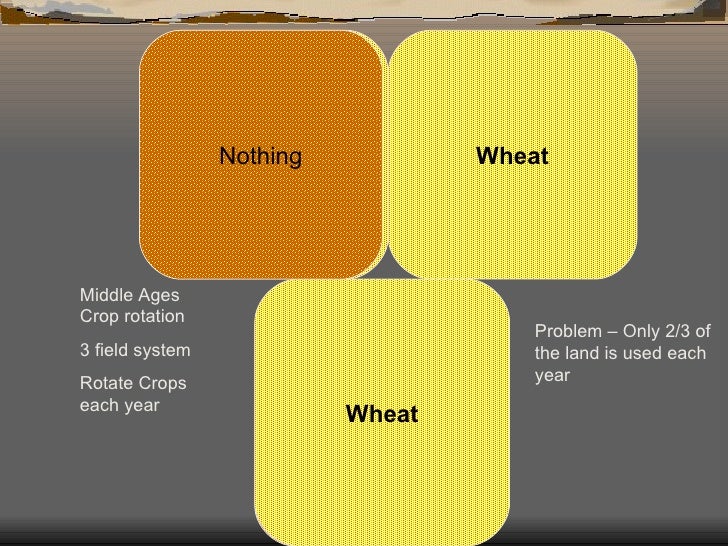 Middle Ages Three Field Crop Rotation