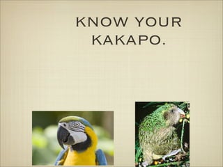 Kakapo Keynote | PDF