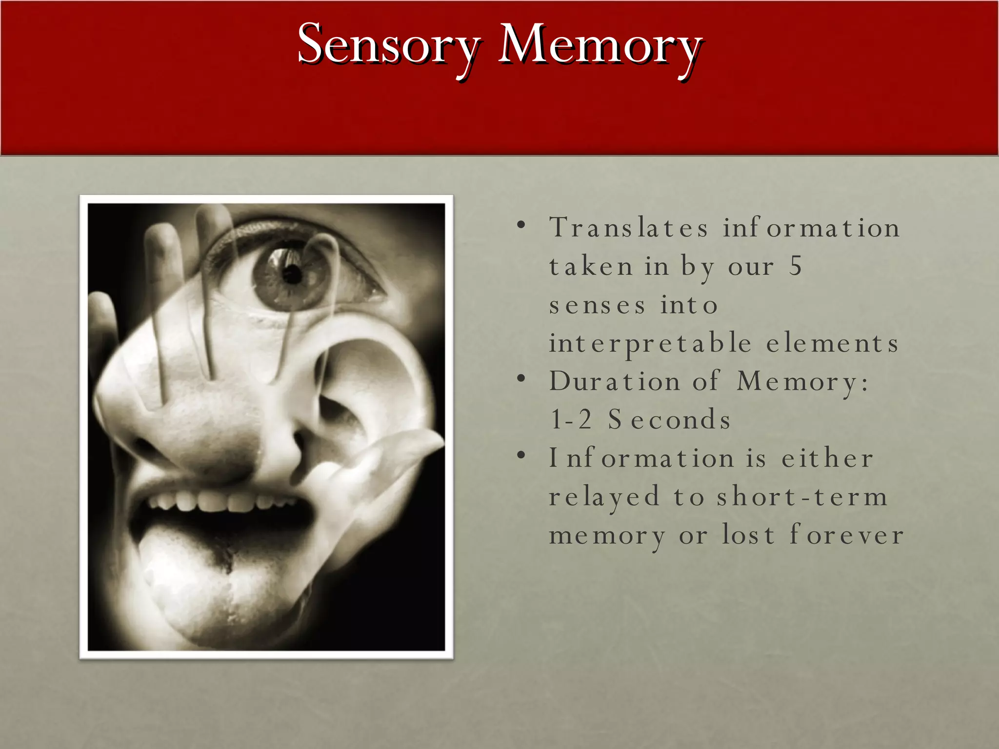 Atkinson & Shiffrin's Multi-Store Model of Memory | PPT