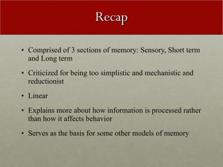 Atkinson & Shiffrin's Multi-Store Model of Memory | PPT
