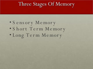 Atkinson & Shiffrin's Multi-Store Model of Memory | PPT