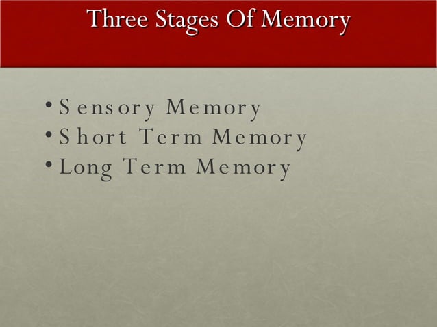 Atkinson & Shiffrin's Multi-Store Model of Memory | PPT