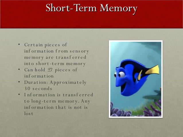 Atkinson & Shiffrin's Multi-Store Model of Memory | PPT