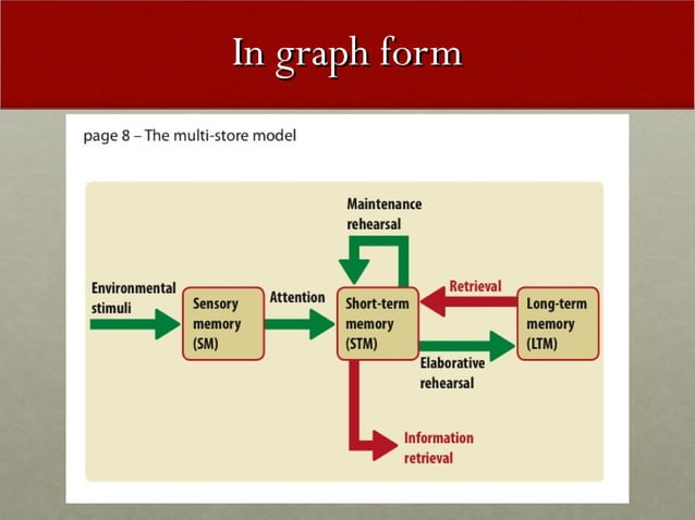 Atkinson & Shiffrin's Multi-Store Model of Memory | PPT