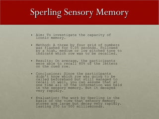 Atkinson & Shiffrin's Multi-Store Model of Memory | PPT