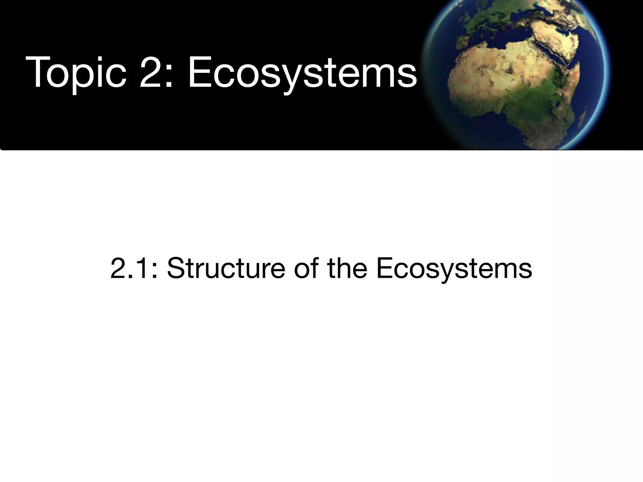 Structure of Ecosystems | PDF
