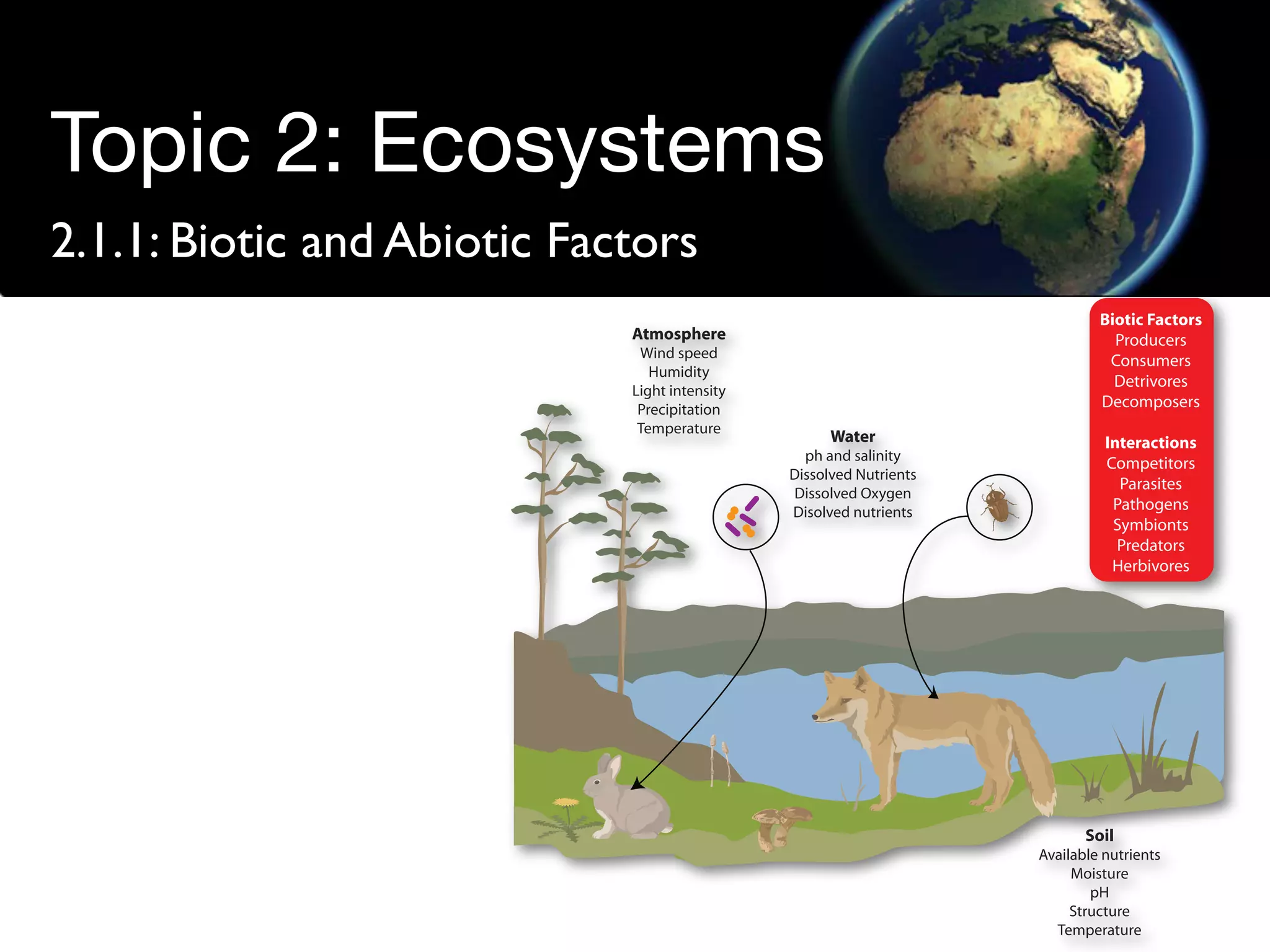 Structure of Ecosystems | PDF