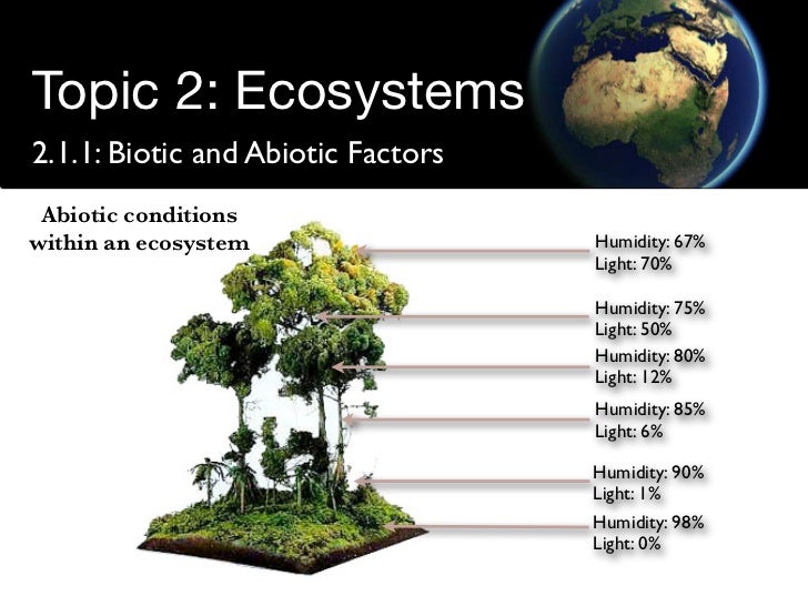 Ocean Ecosystem Biotic And Abiotic Factors