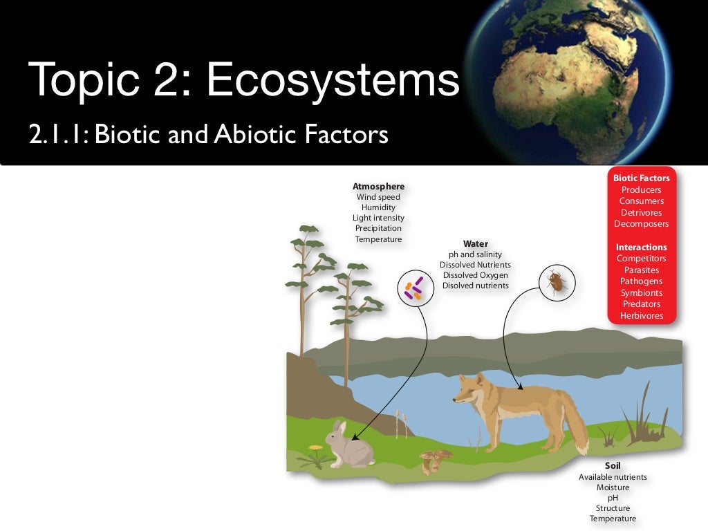 Structure of Ecosystems