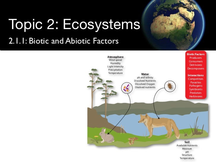 Structure of Ecosystems