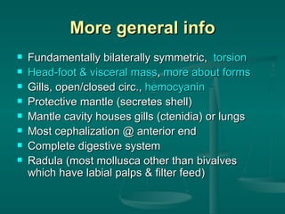 molluscs | PPT
