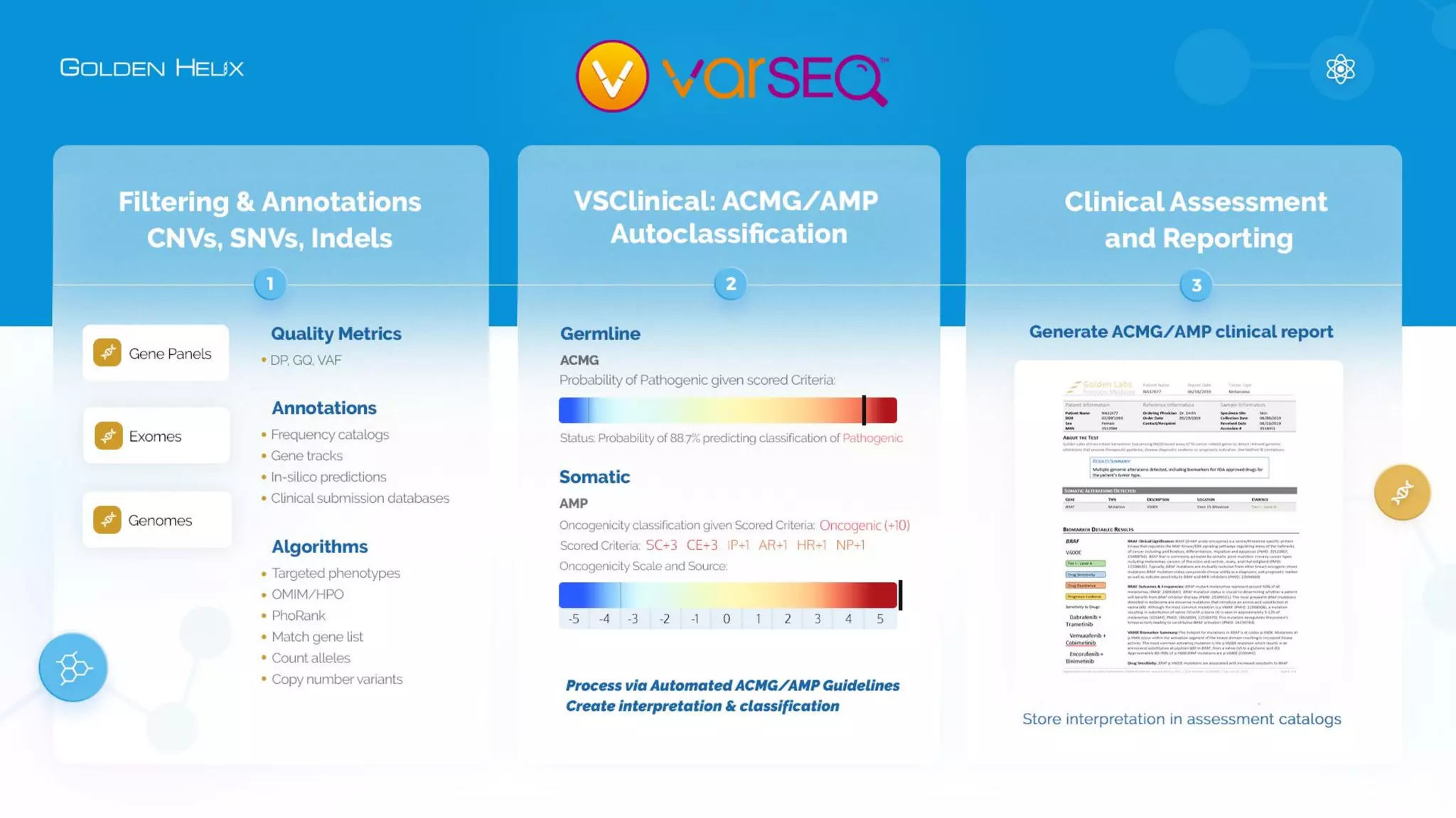 A User’s Perspective: ACMG Guidelines for CNVs in VSClinical | PDF