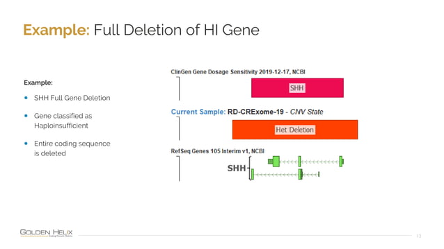 A User’s Perspective: ACMG Guidelines for CNVs in VSClinical | PDF