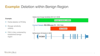 A User’s Perspective: ACMG Guidelines for CNVs in VSClinical | PDF