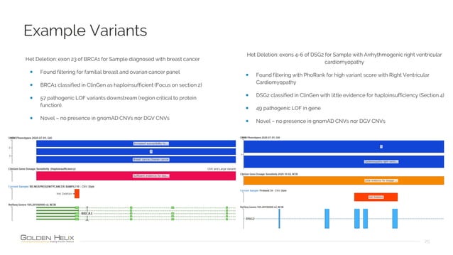 A User’s Perspective: ACMG Guidelines for CNVs in VSClinical | PDF
