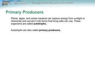 Miller section 3.2 (producers & consumers) | PPT