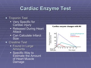 Presentation #3 for Medical Terminology | PPT | Heart and ...