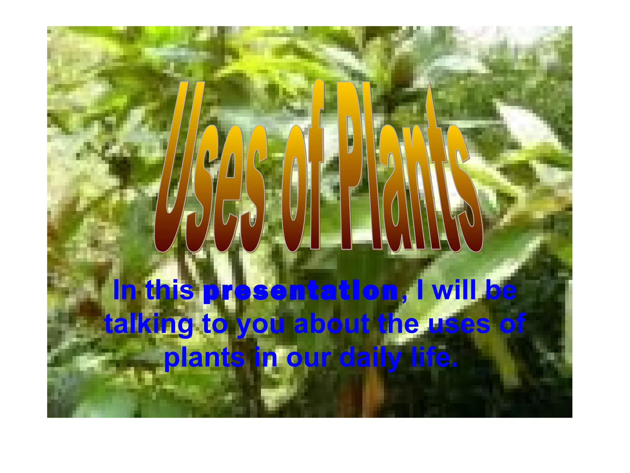 Uses Of Plant | PPT