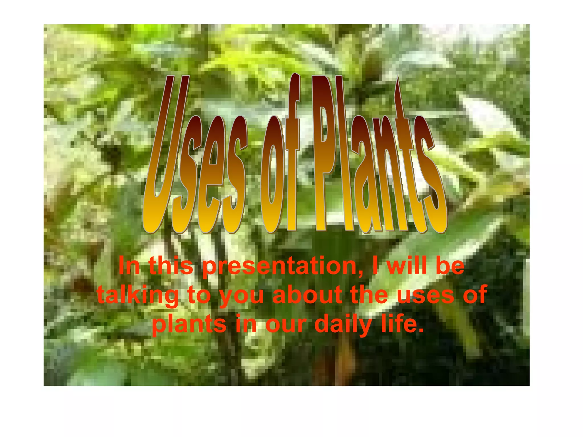 Uses Of A Plant | PPT