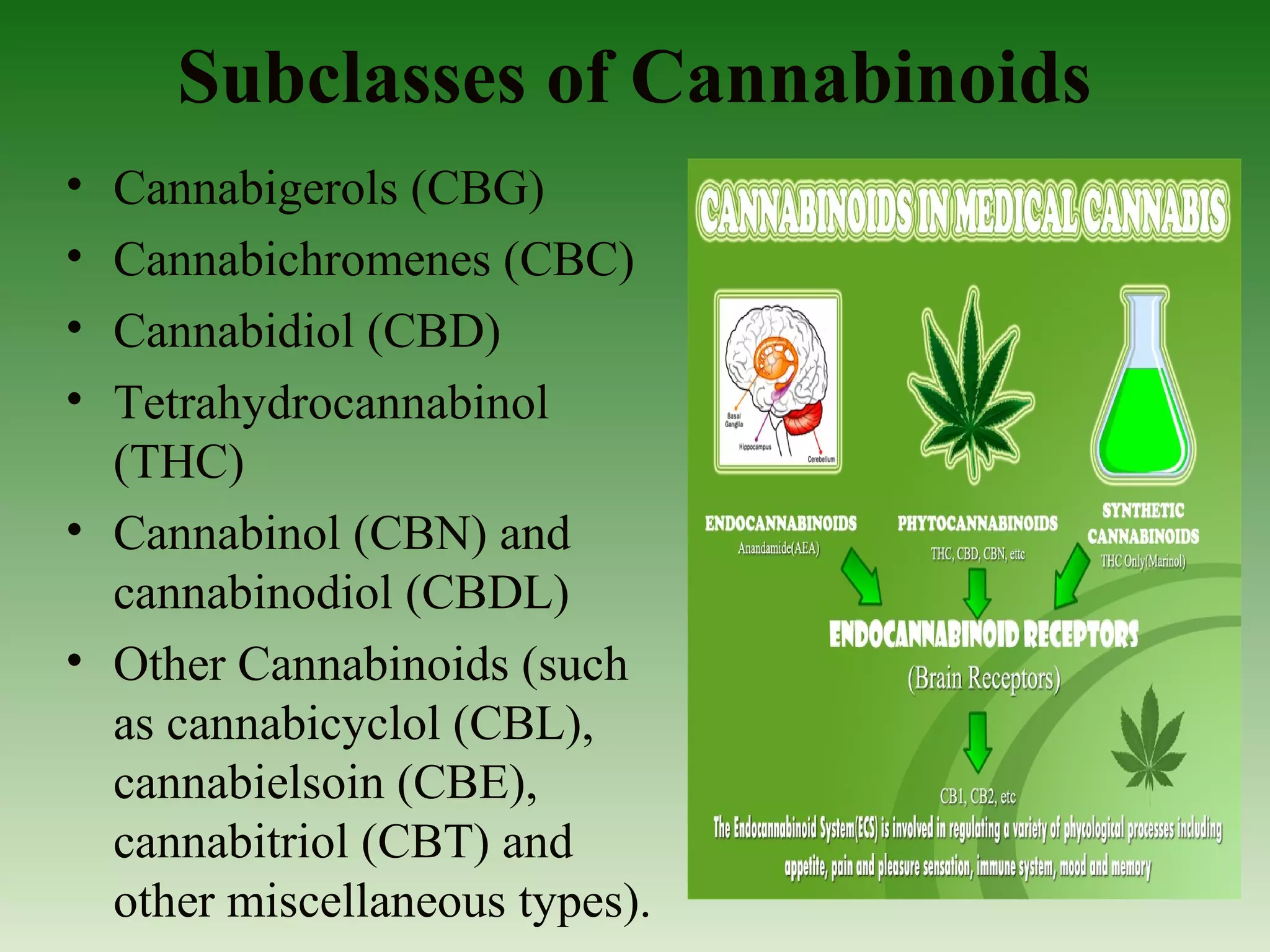 Uses Of Cannabinoids And Medical Cannabis | PPT | Illegal Drugs ...