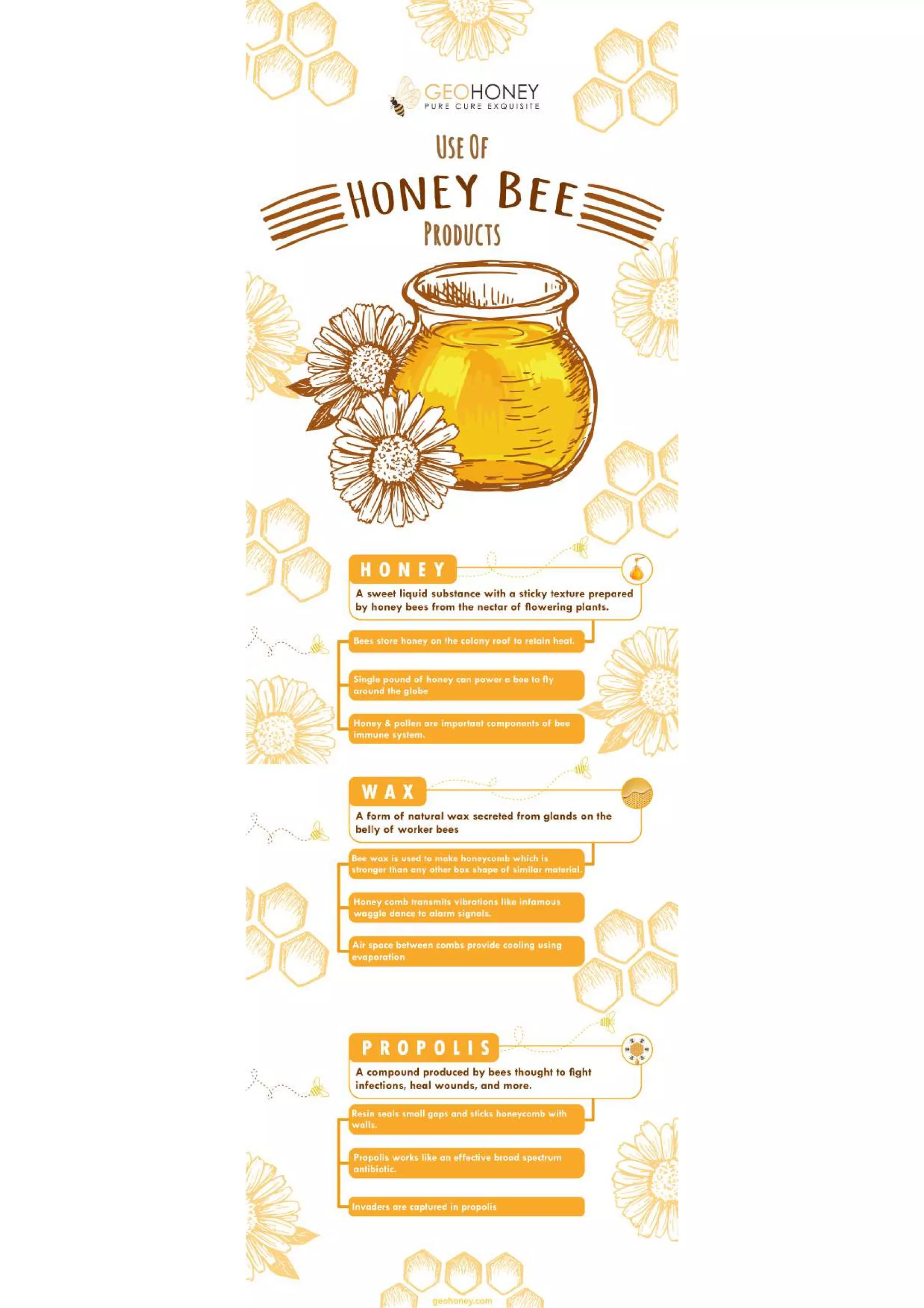 Uses of Honey Bee Products | PDF