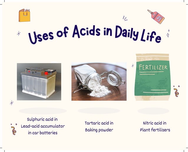 Uses of acids and alkalis in daily life | PDF | Chemistry | Science