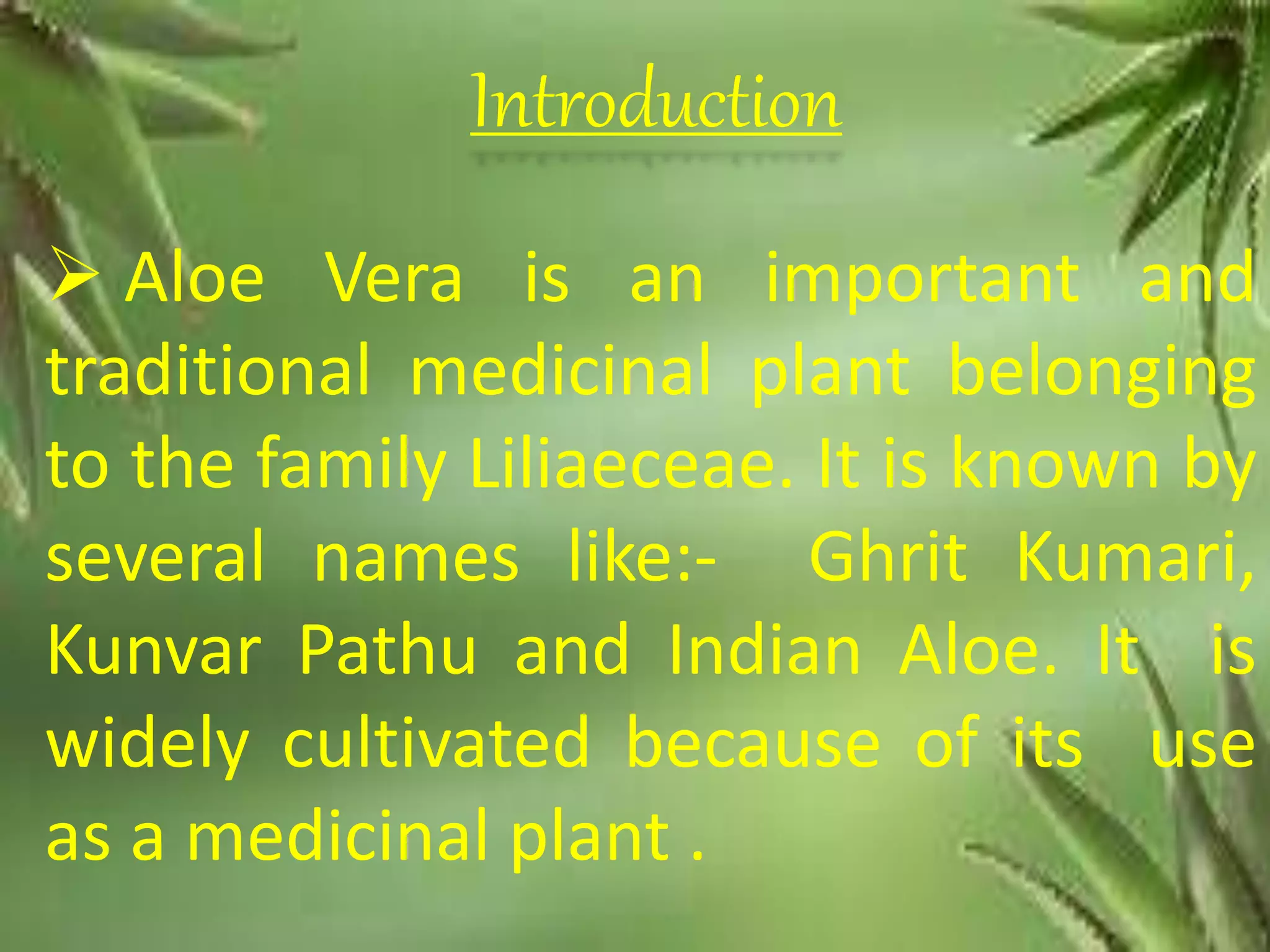 Uses of aloe vera | PPTX