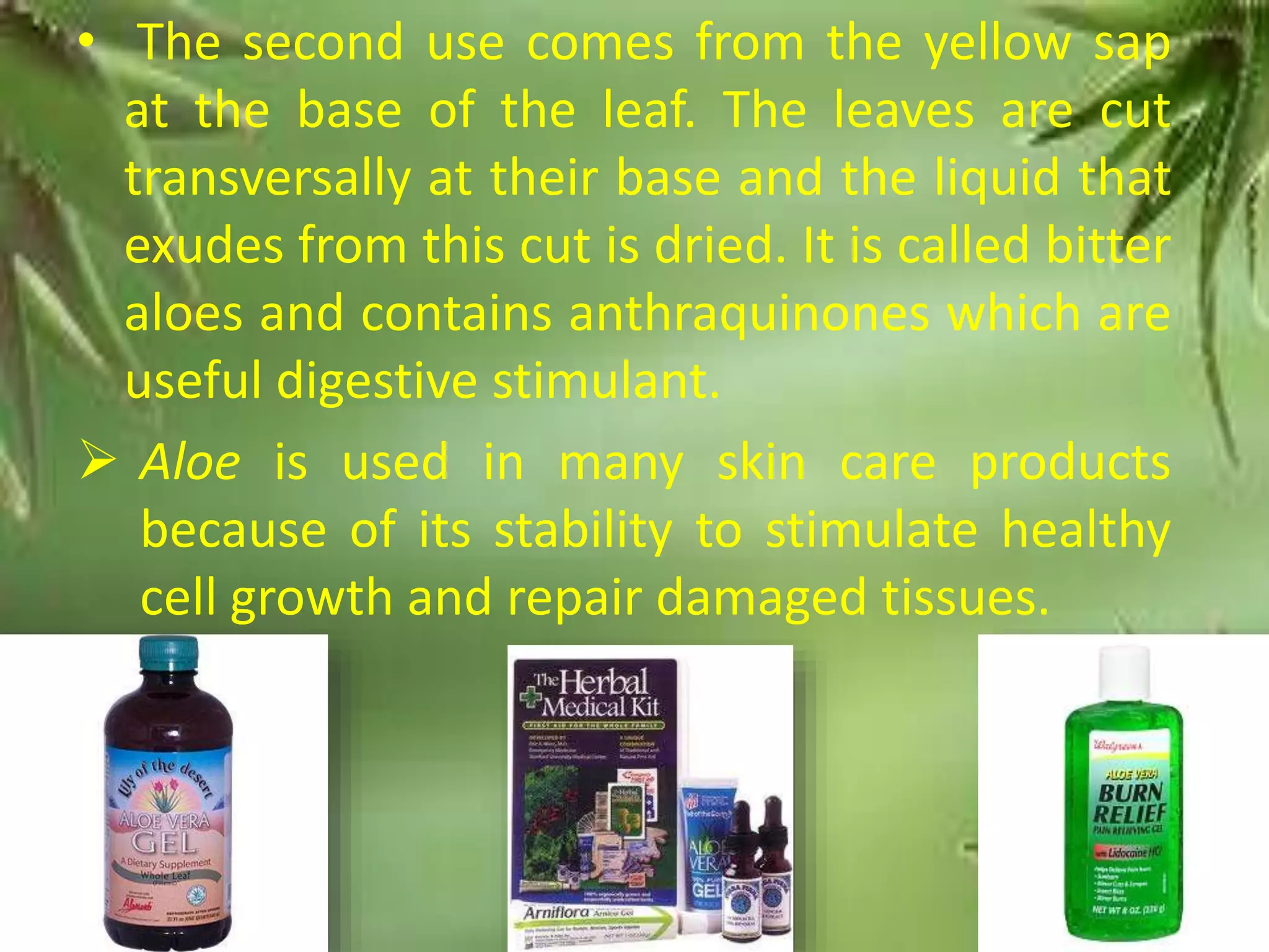 Uses of aloe vera | PPTX