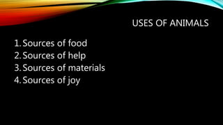 Uses of animals | PPTX