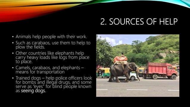 Uses of animals | PPTX | Dogs | Pets