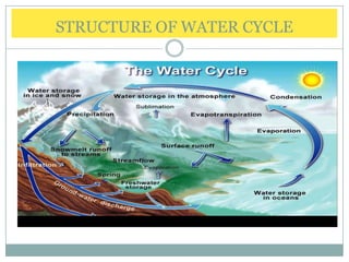 Uses of fresh water | PPTX