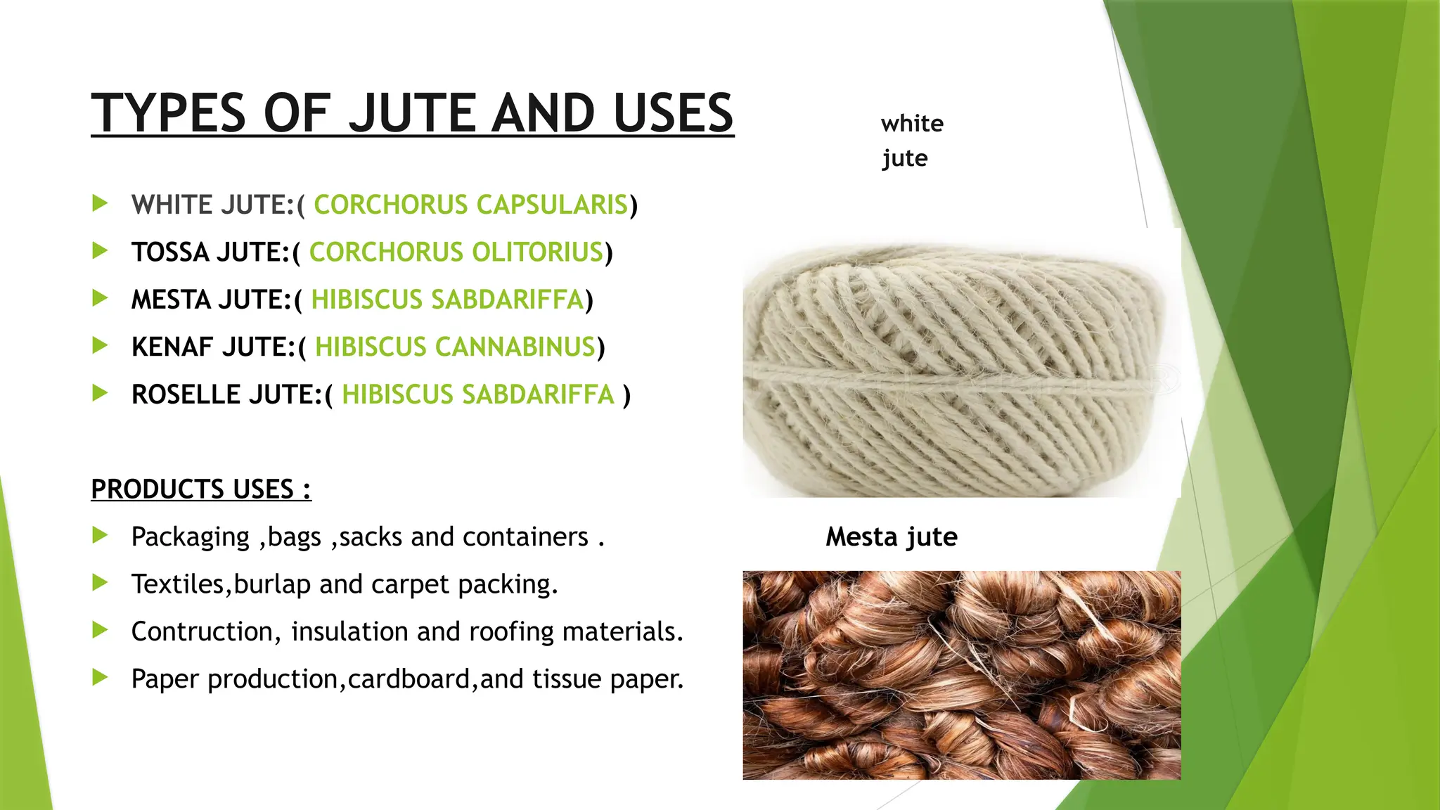 Manufacturing jute fibres and there uses | PPTX